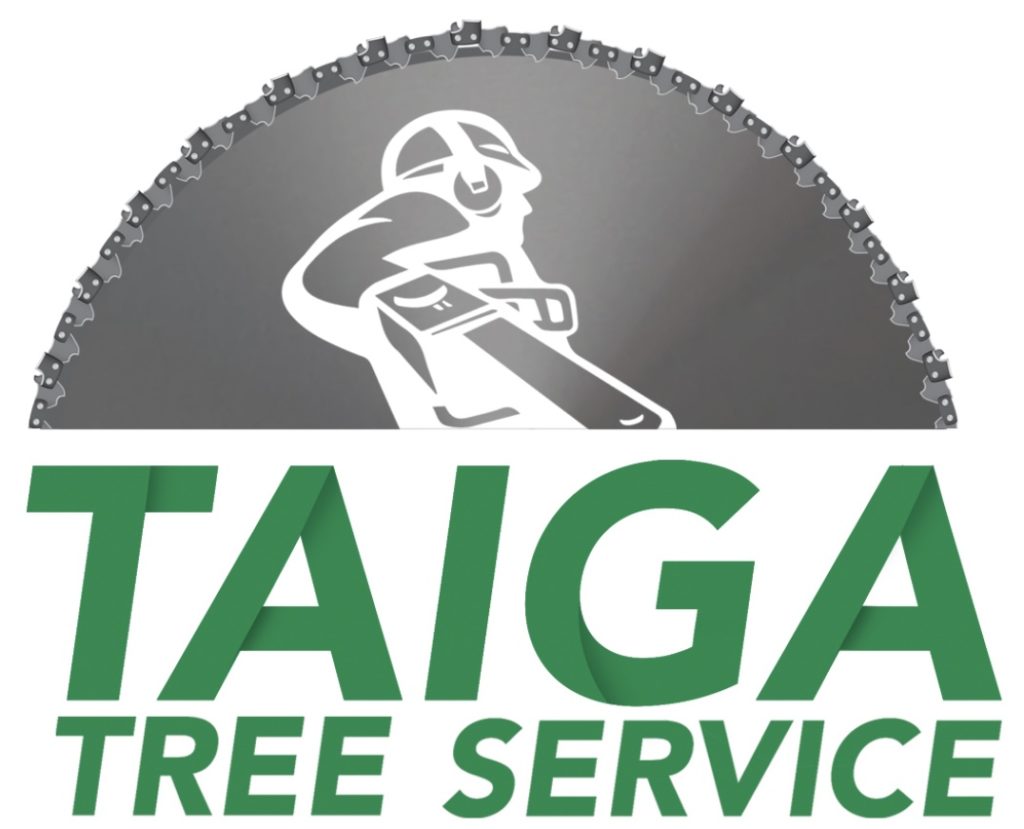 Taiga Tree Service – Professional Tree Service Experts